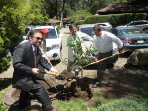 Union Square Tree Planting to Celebrate Cherry Blossom Centennial ...
